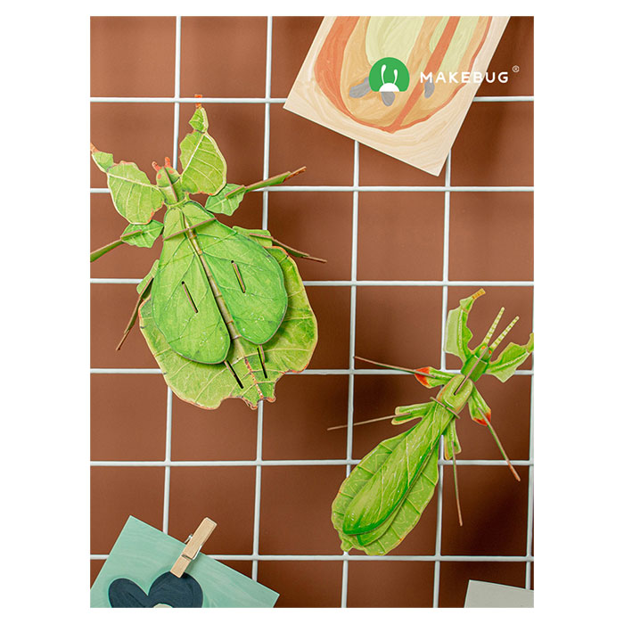 3D Puzzle Leaf Insect – 35 Pieces – Tradeopia Corp.